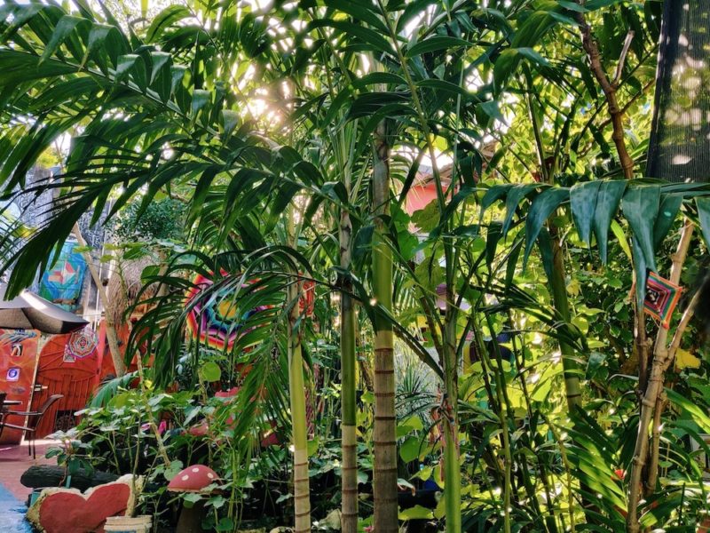 The Best Restaurants in Playa del Carmen Locals Love • Wander Eat Write