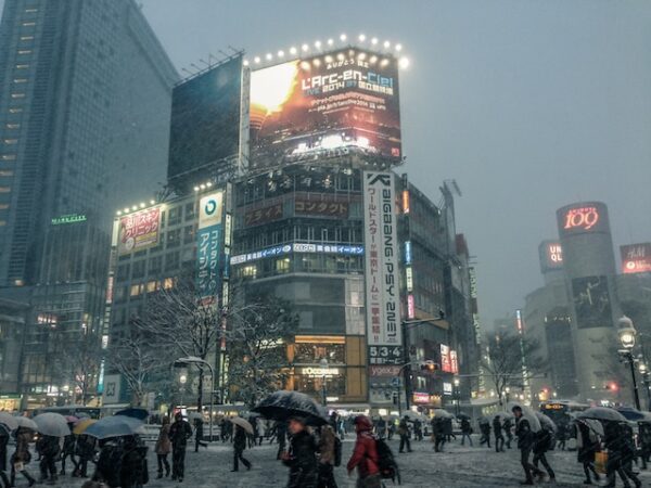 Does it Snow in Tokyo? When & What to Expect in Winter • Wander Eat Write