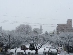 Does It Snow in Nagoya? When & What to Expect in Winter • Wander Eat Write